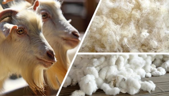 Fibre Supplier- Natural Fibre, Manmade Fibre, Wool, Animal Hair